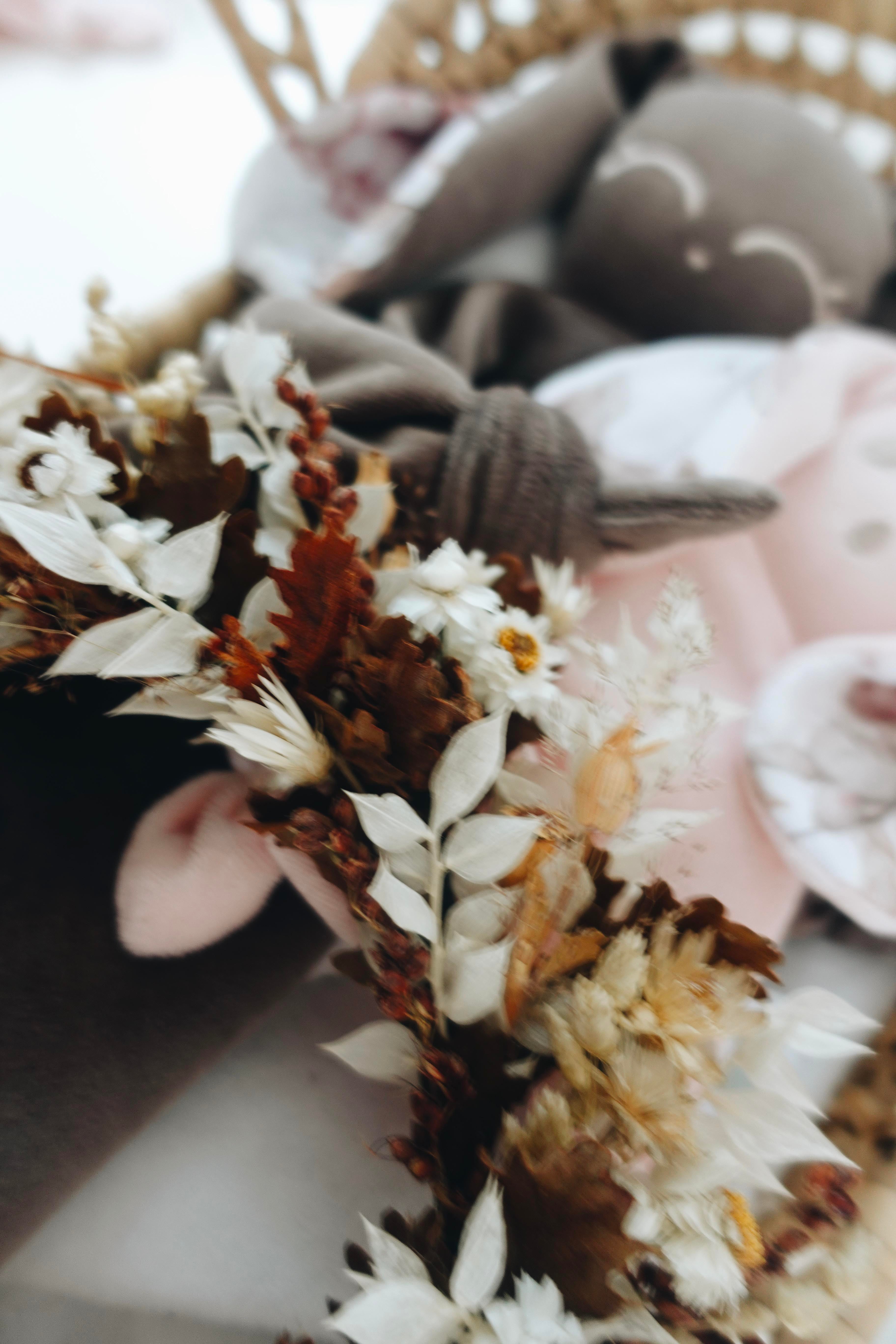 Capsule Printemps 🌸 – Louis & Jules